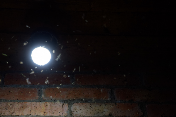 Light Pollution - My Wild Ireland